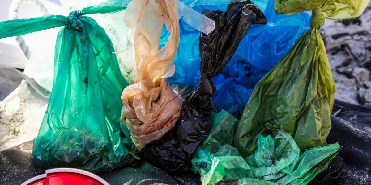 How Microplastics Are Entering Our Food Chain: Pathways and ...